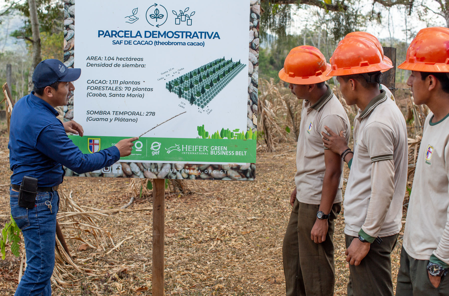 What is the Role of Youth in Agriculture?