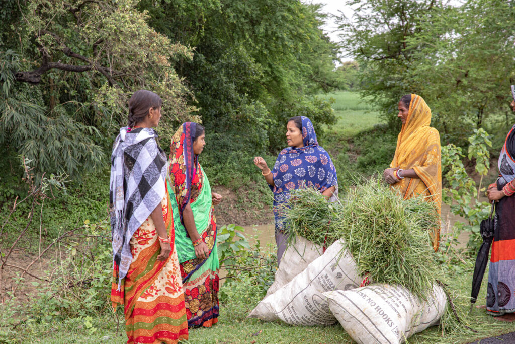 India - Heifer International