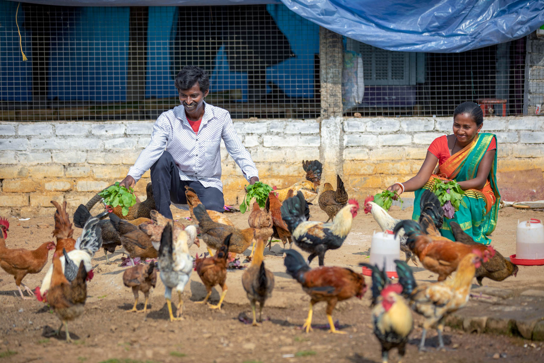 India - Heifer International