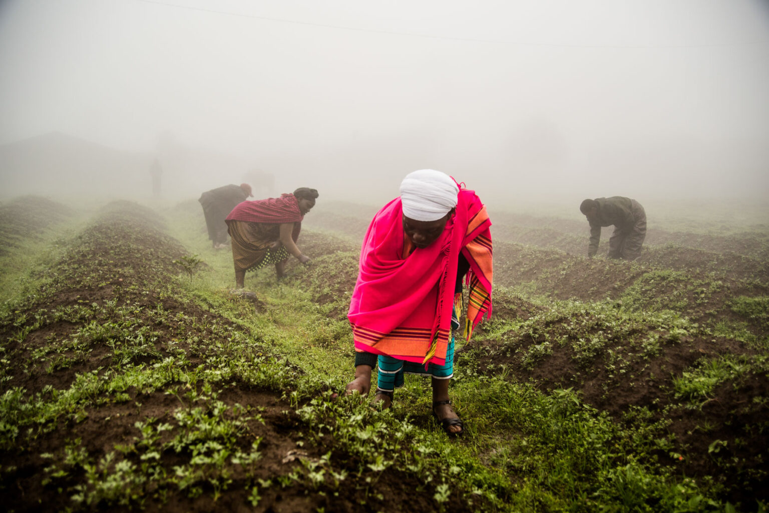What is Social Capital?
