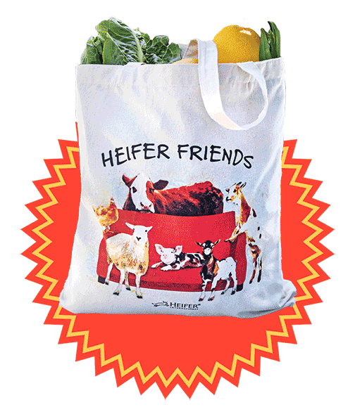 Give Now - Heifer International
